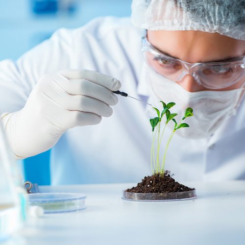 Home [demo-htmllinks.com]